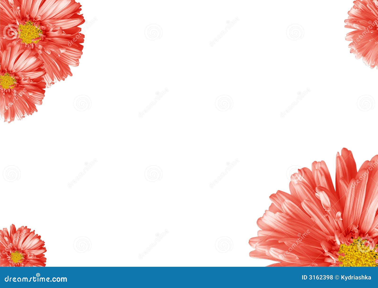 37,438 Abstract Flower Border Photos - Free & Royalty-Free Stock Photos ...