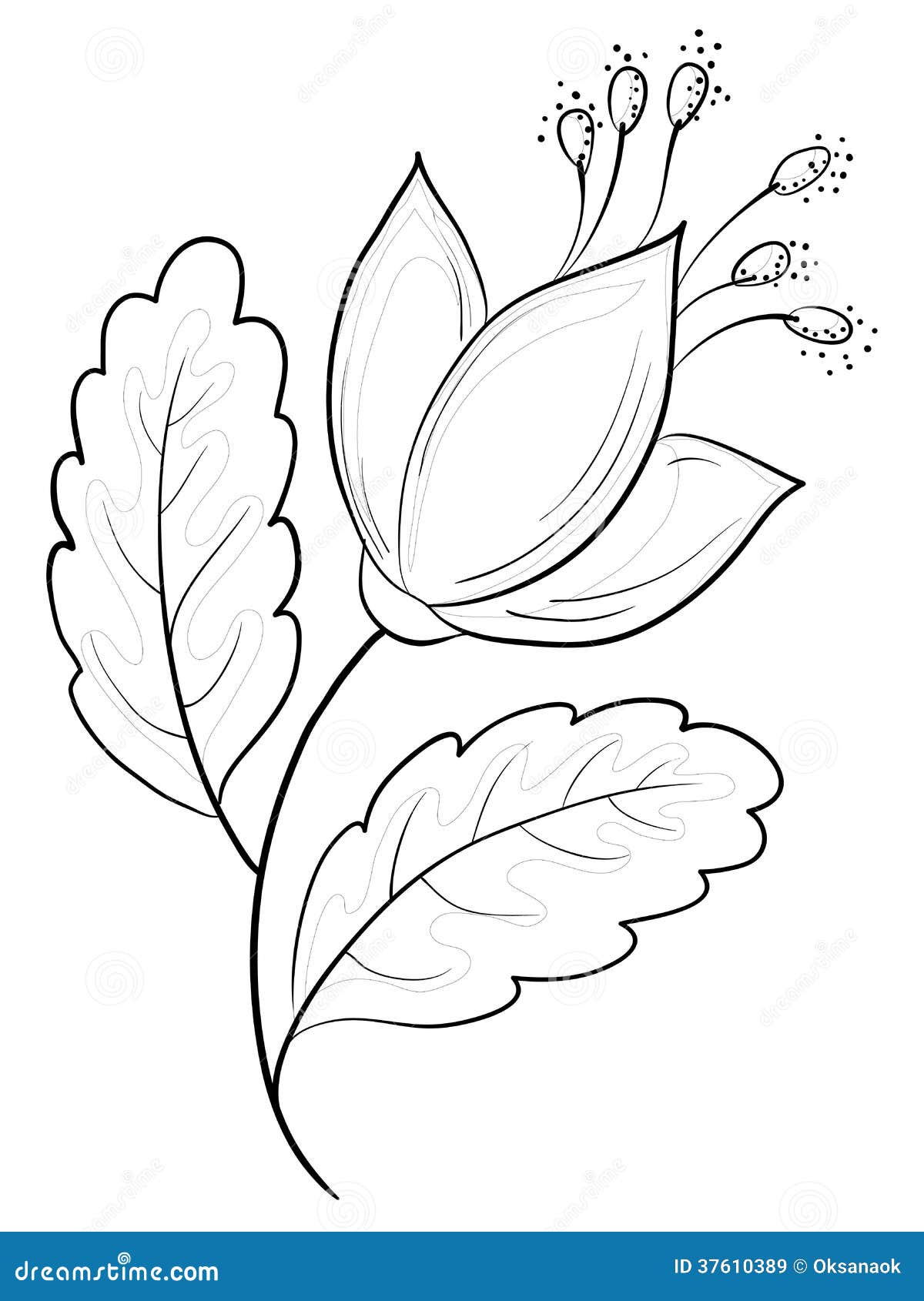 Abstract flower, contours stock vector. Illustration of creative - 37610389