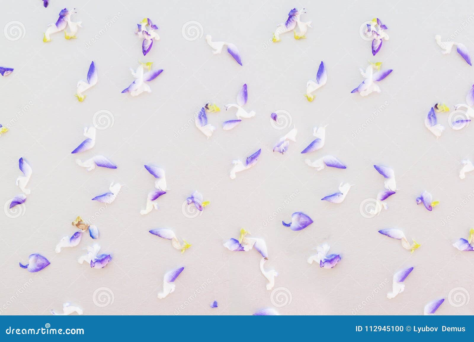 Abstract Flower Pattern, Small Flowers on Cardboard, Top View, Copy ...