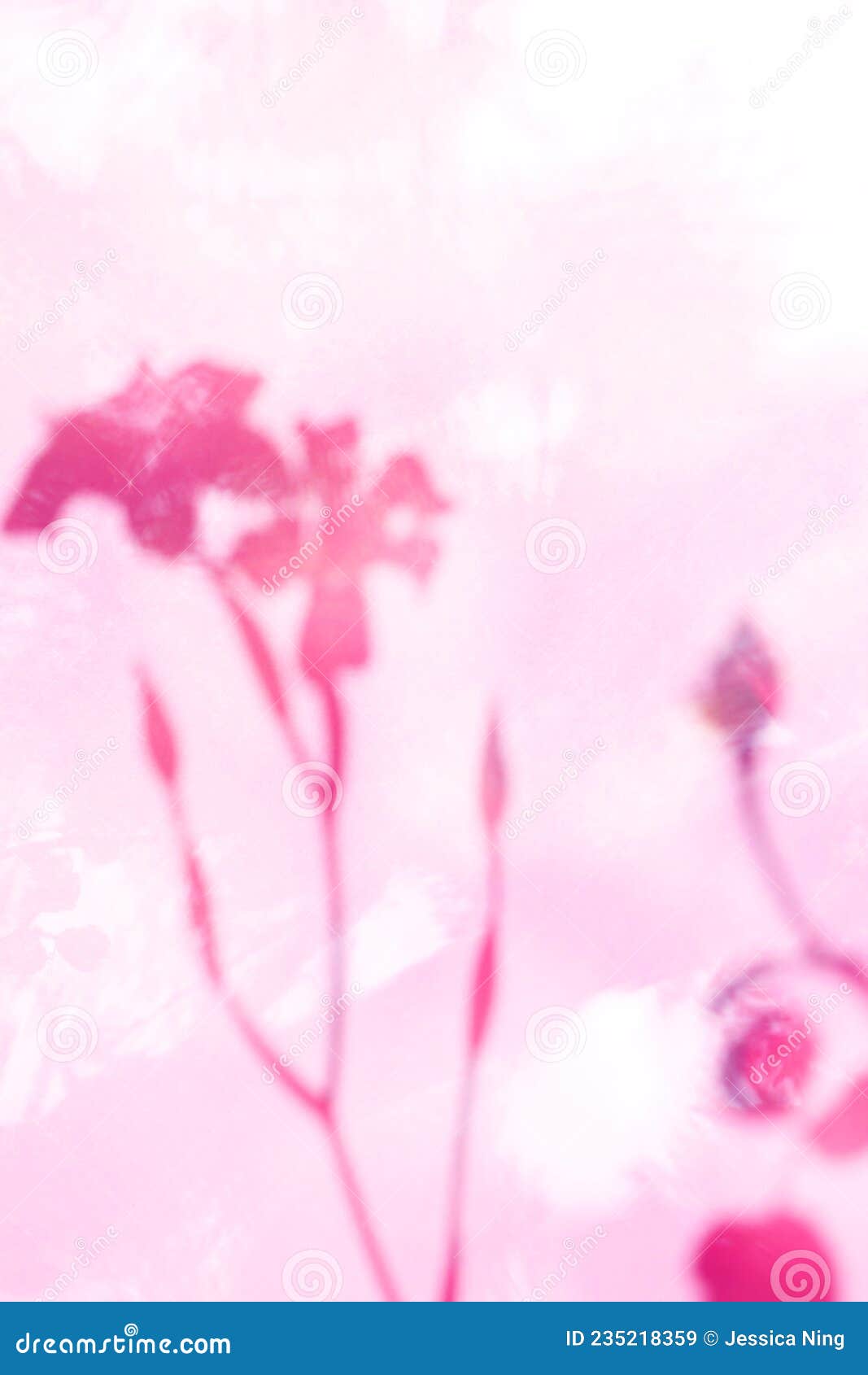Abstract Flower Shadows Background Stock Image - Image of white ...