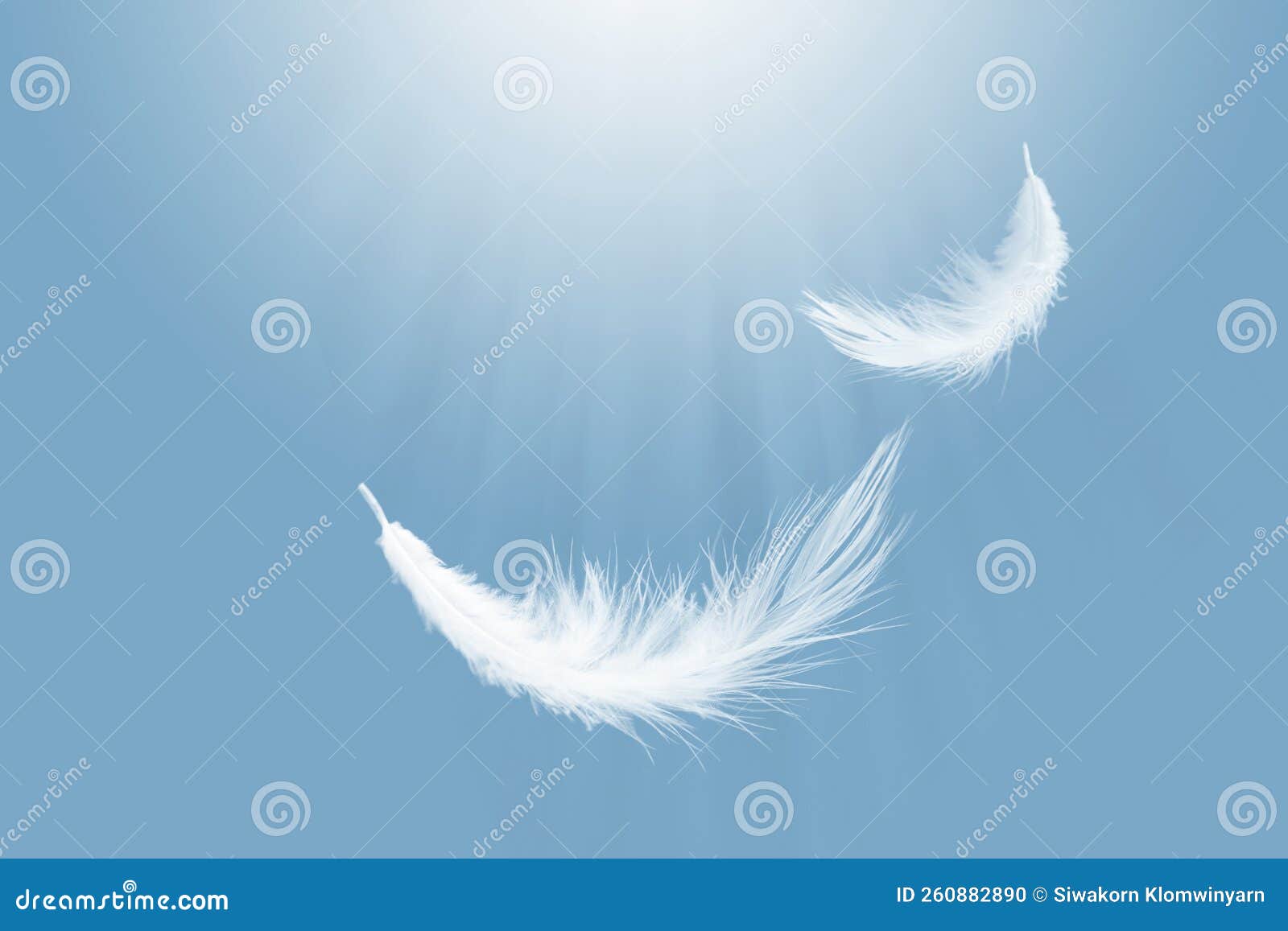 Abstract Fluffy White Bird Feathers Floating in the Sky. Flying Swan ...