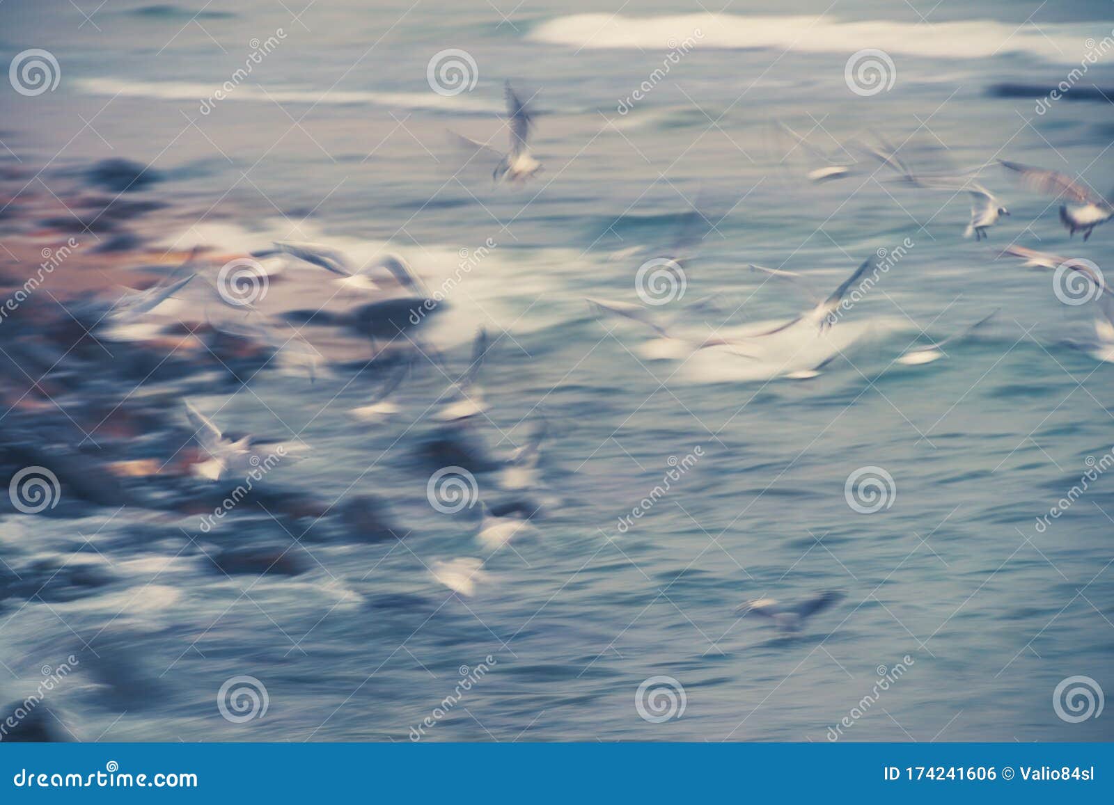 Abstract of Flying Seagull Birds Over the Sea Waves, Long Exposure ...