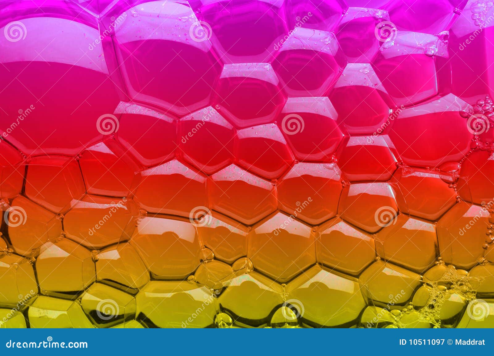 Abstract foam stock image. Image of close, bubble, textured - 10511097