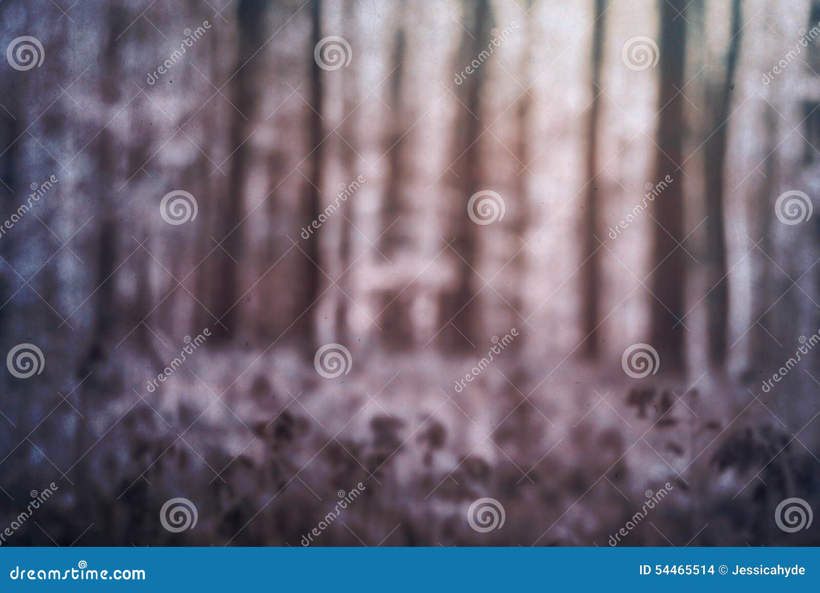 Abstract forest background stock photo. Image of environment - 54465514