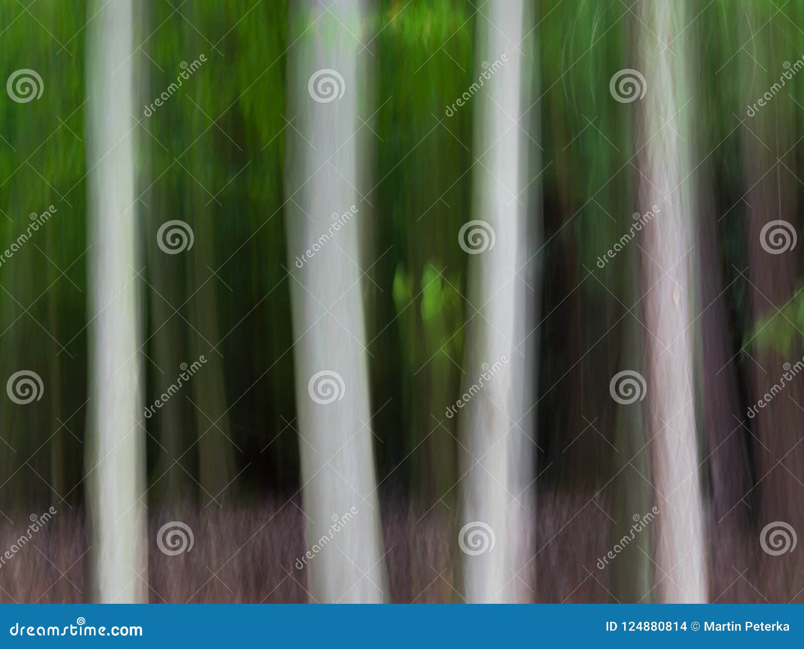 Abstract of a Forest in Motion Blur Stock Photo - Image of design ...