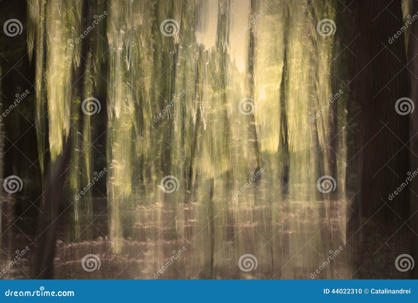Abstract Forest stock photo. Image of creative, land - 44022310