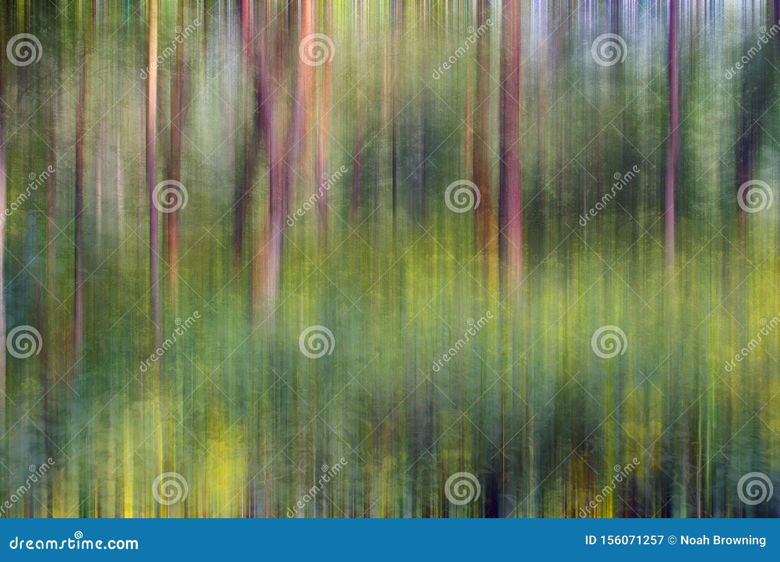 Abstract forest stock image. Image of green, wildflowers - 156071257