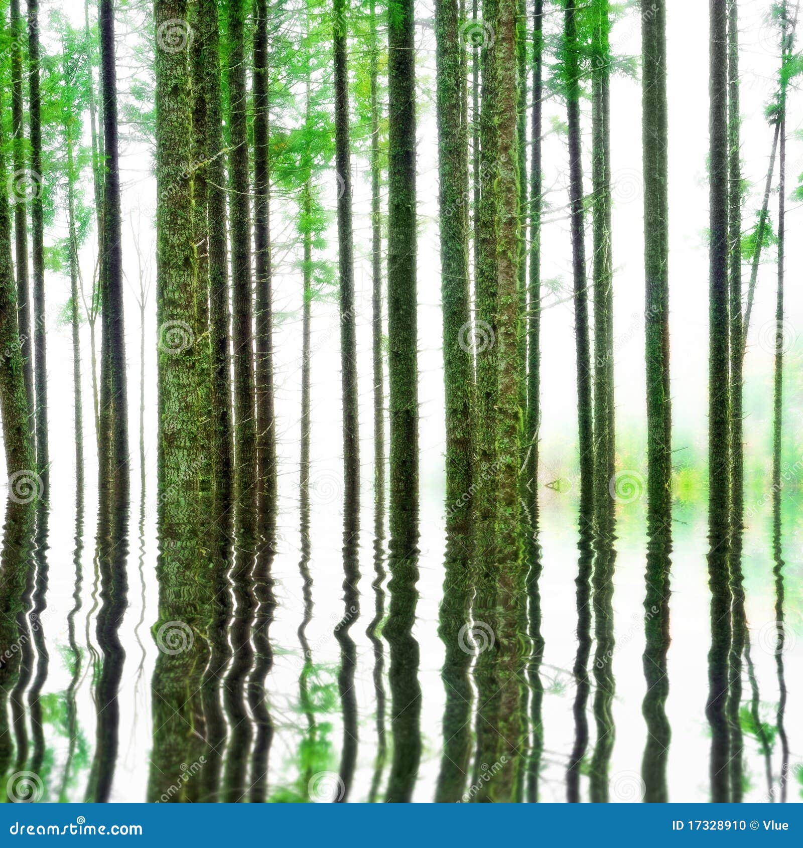 Abstract Forest, Silhouette Of Trees. Green Forest, Countryside ...