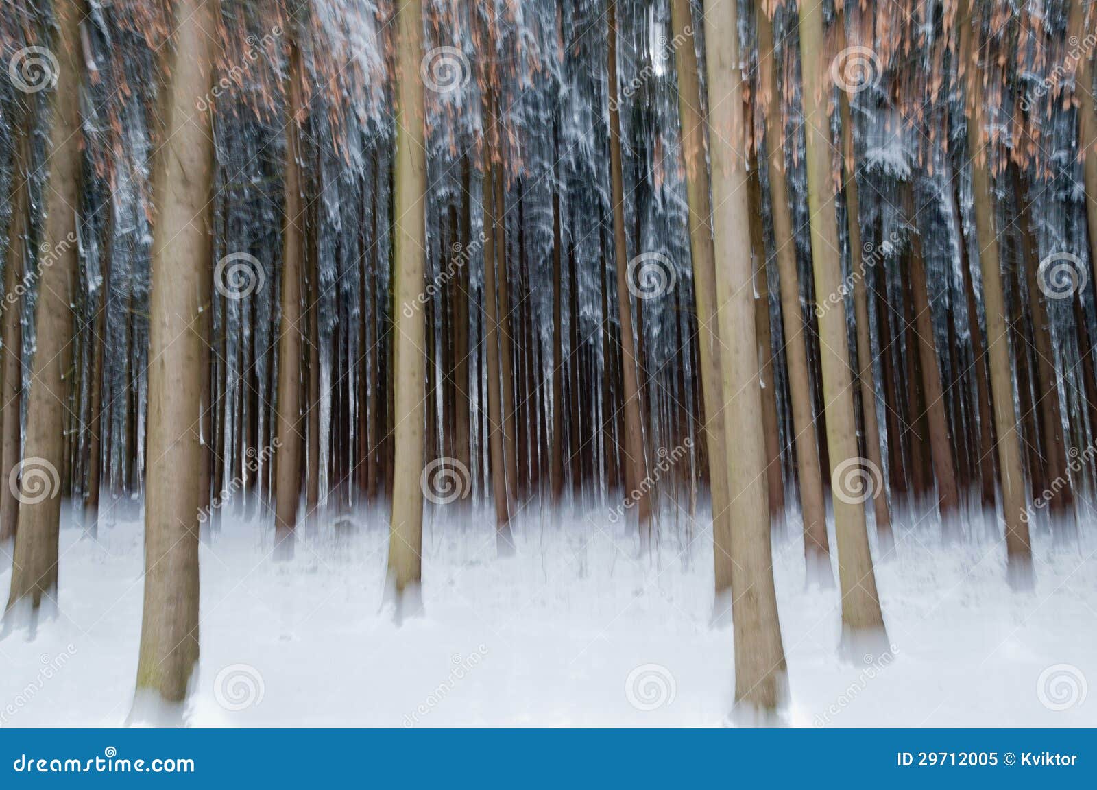 Abstract forest in winter stock image. Image of january - 29712005