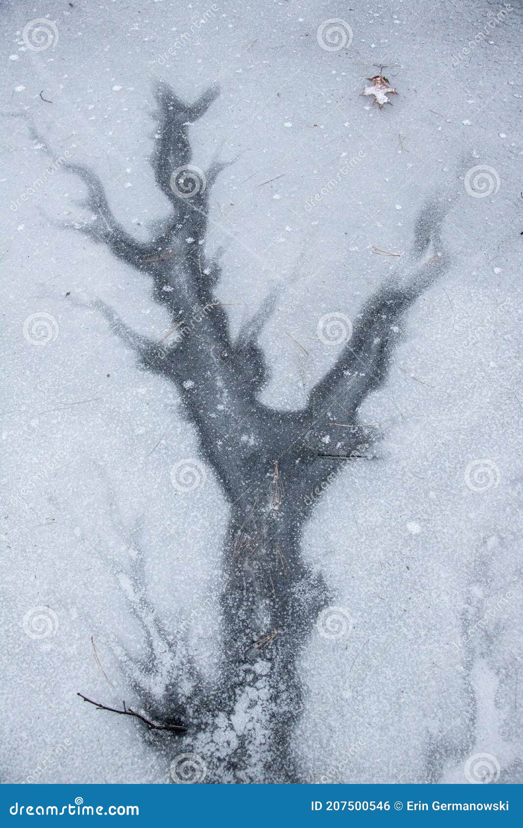 Abstract Formation Formed from Refreezing Water on a Pond Stock Photo ...