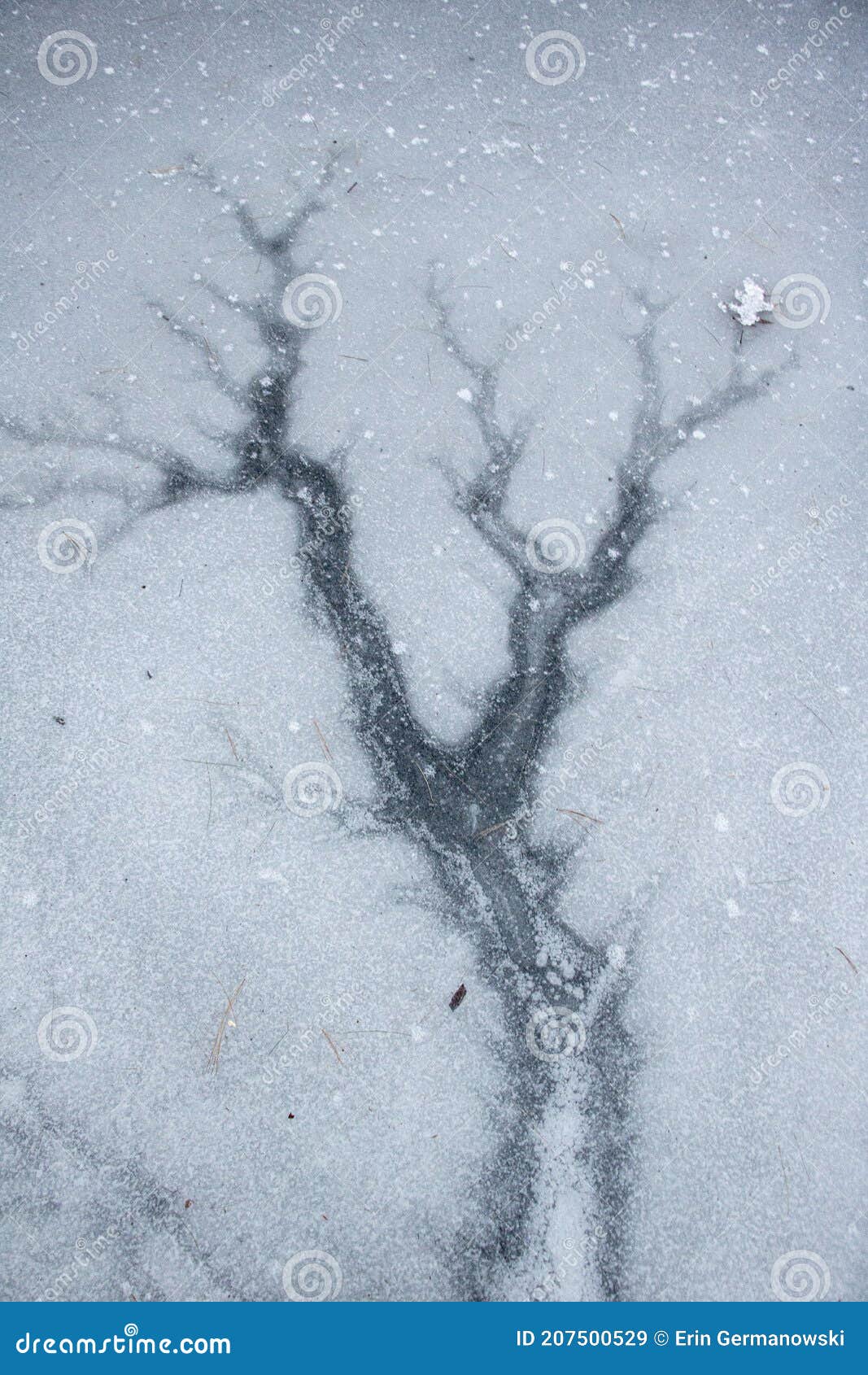 Abstract Formation Formed from Refreezing Water on a Pond Stock Image ...
