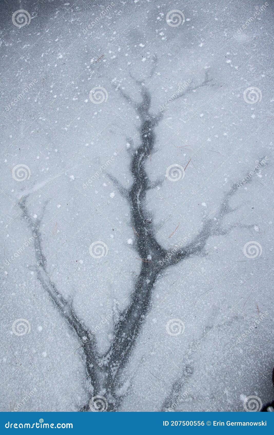 Abstract Formation Formed from Refreezing Water on a Pond Stock Photo ...