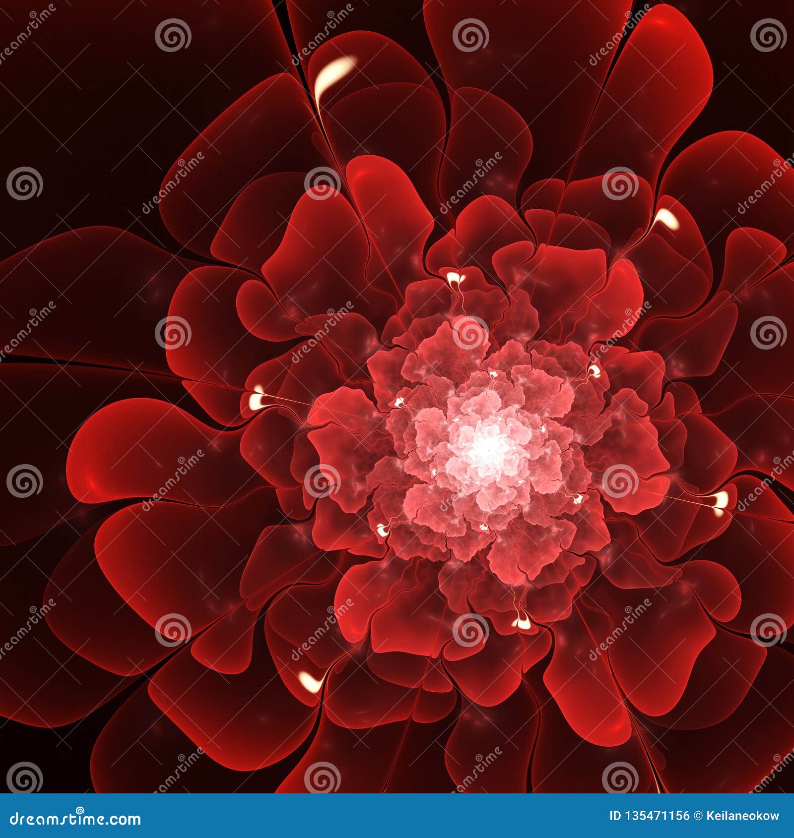 Abstract Fractal - Red Rose Stock Illustration - Illustration of dream ...