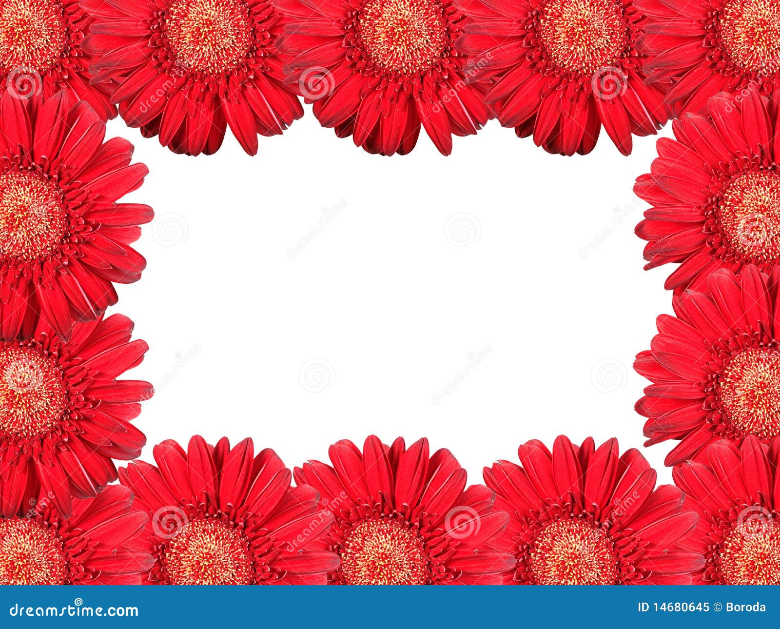 Abstract Frame with Red Flowers Stock Image - Image of piloselloides ...