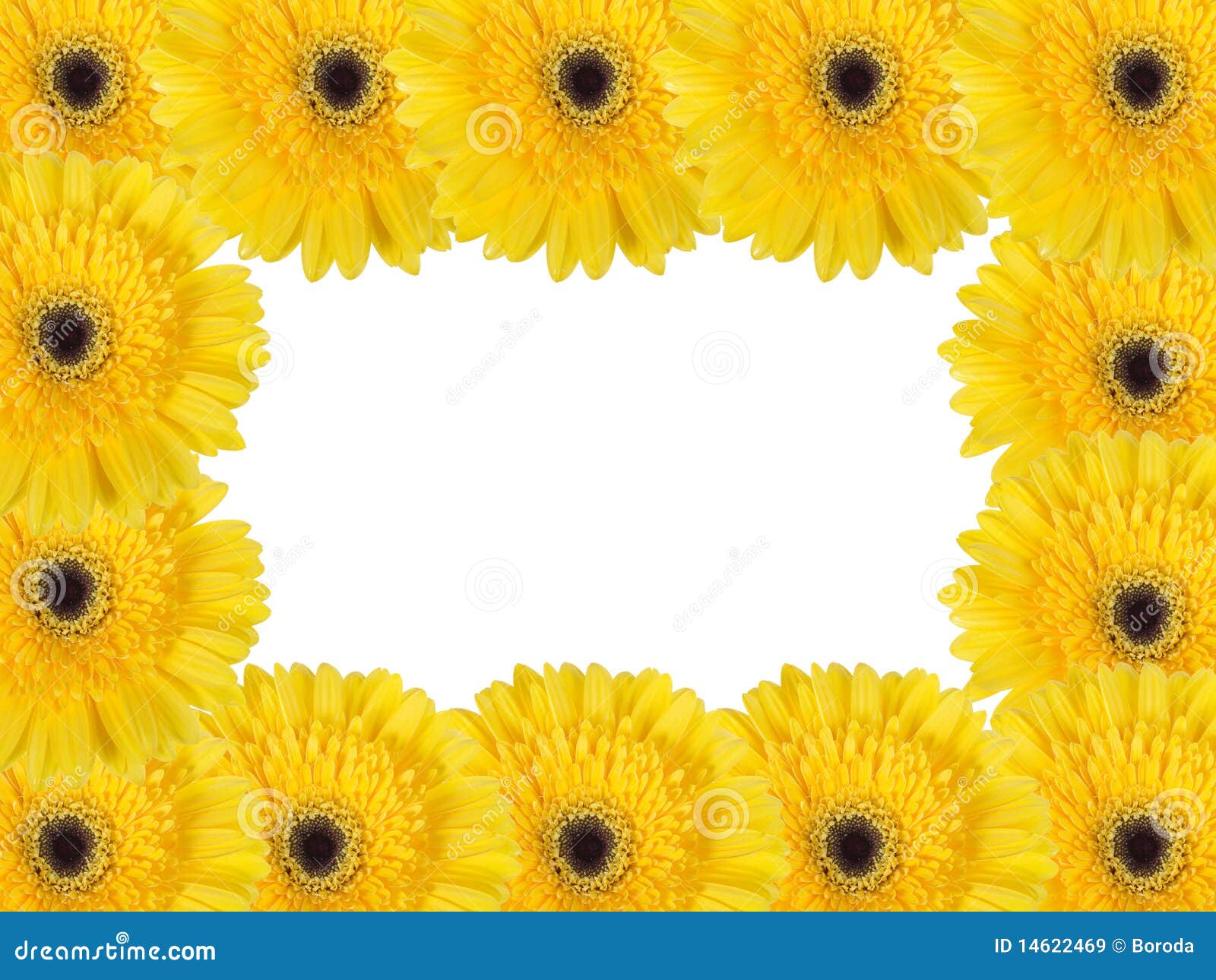 Abstract Frame with Yellow Flowers Stock Image - Image of closeup ...