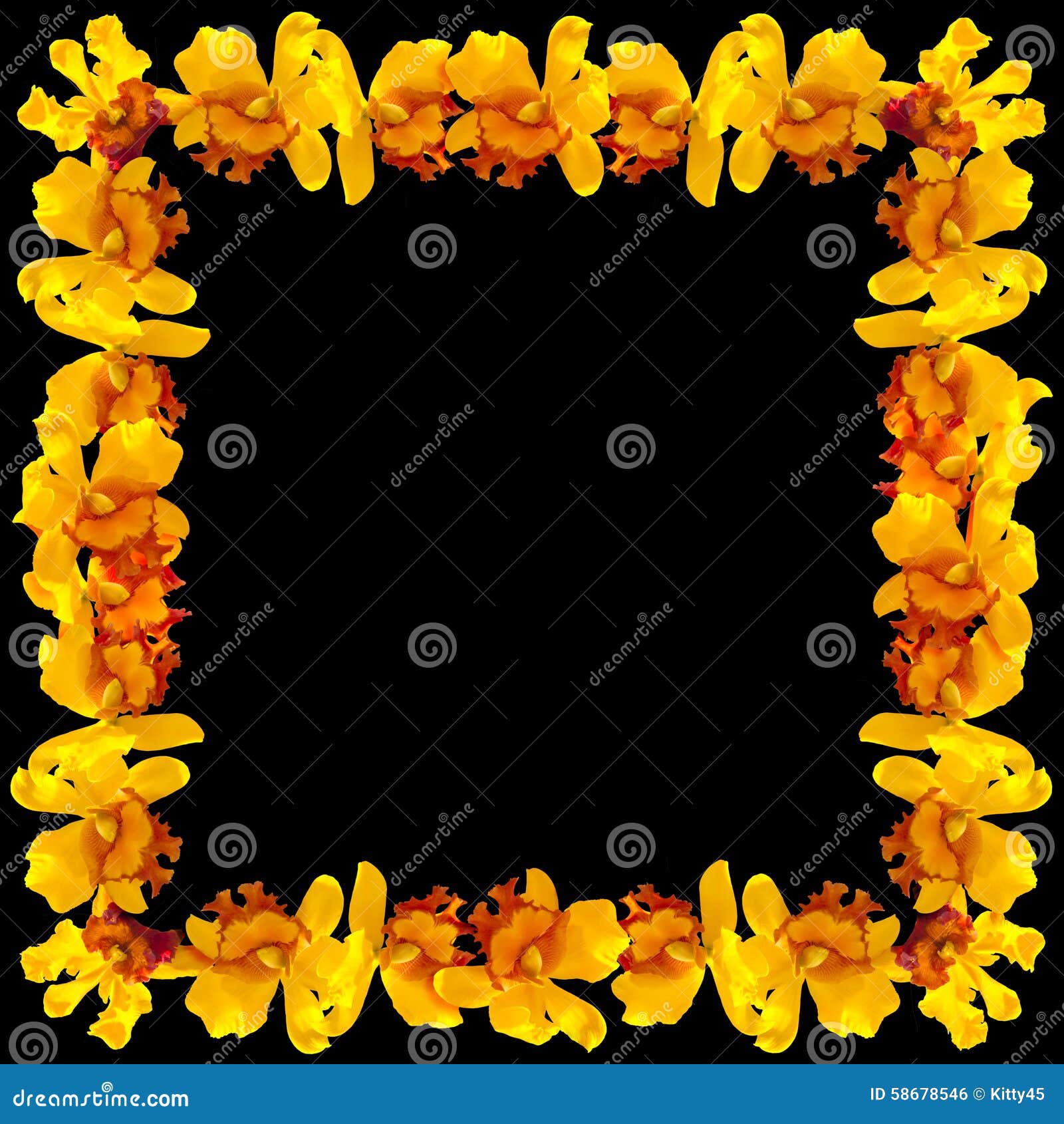 Abstract Frame Yellow Orchid on Black Background Stock Illustration ...