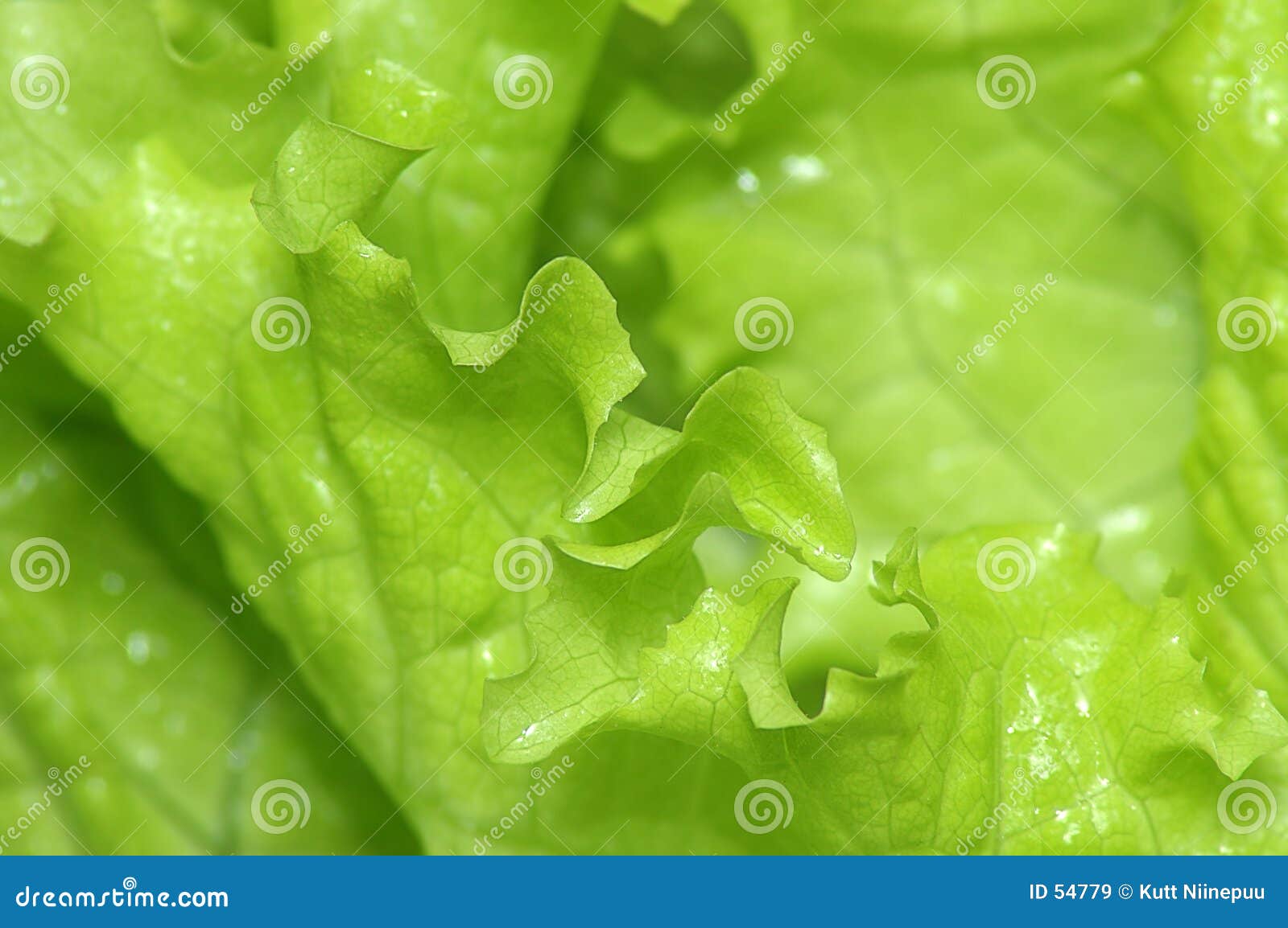 Abstract fresh background stock image. Image of background - 54779