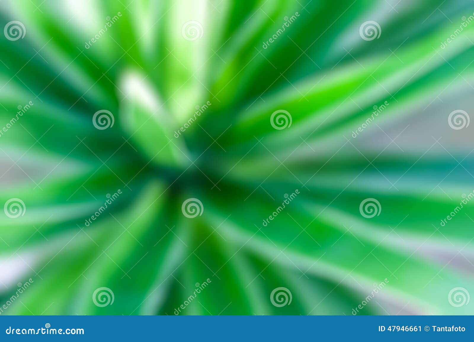 Abstract Fresh Green Beautiful Blur Background Stock Image - Image of ...