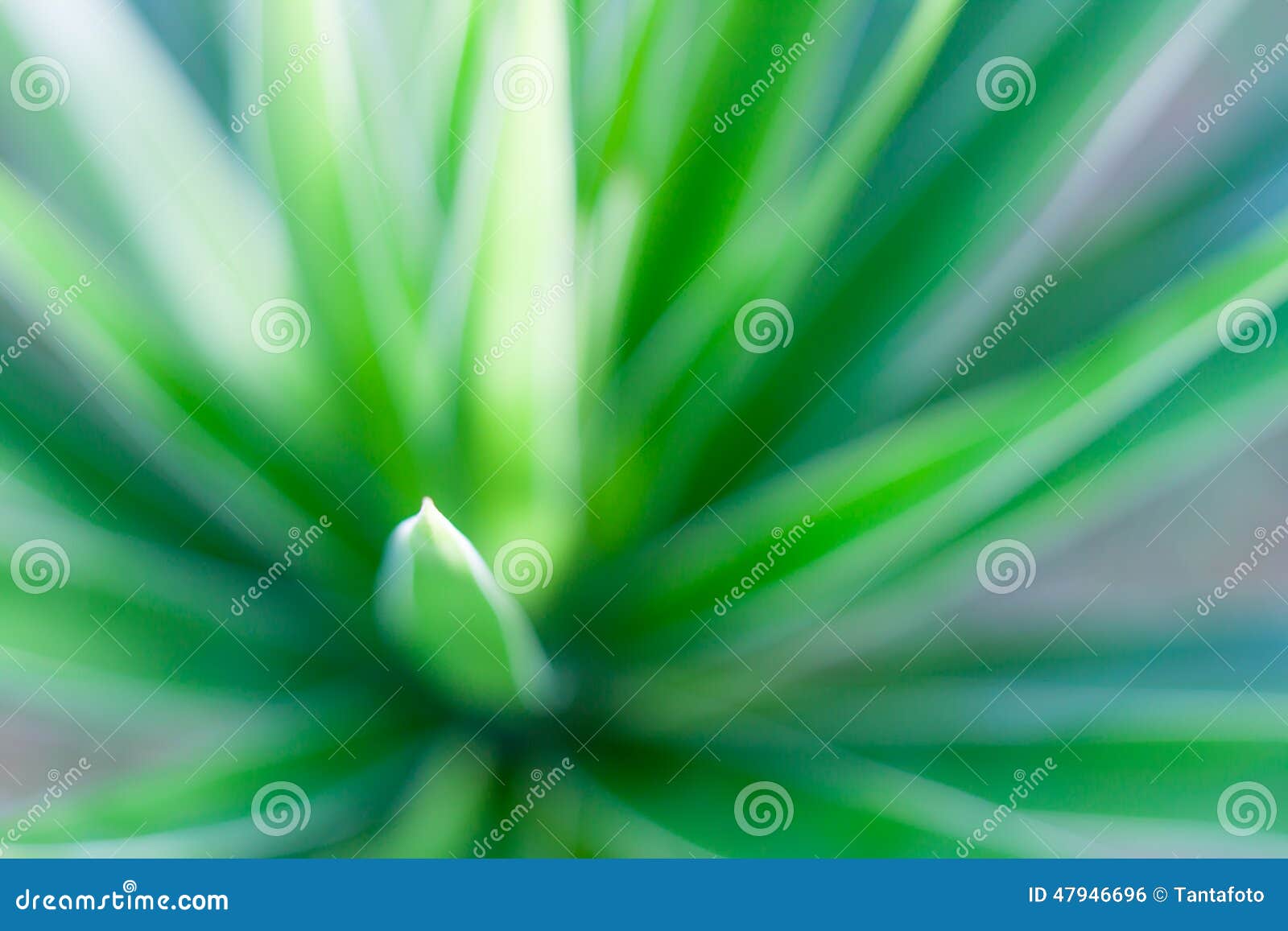 Abstract Fresh Green Beautiful Blur Background Stock Photo - Image of ...