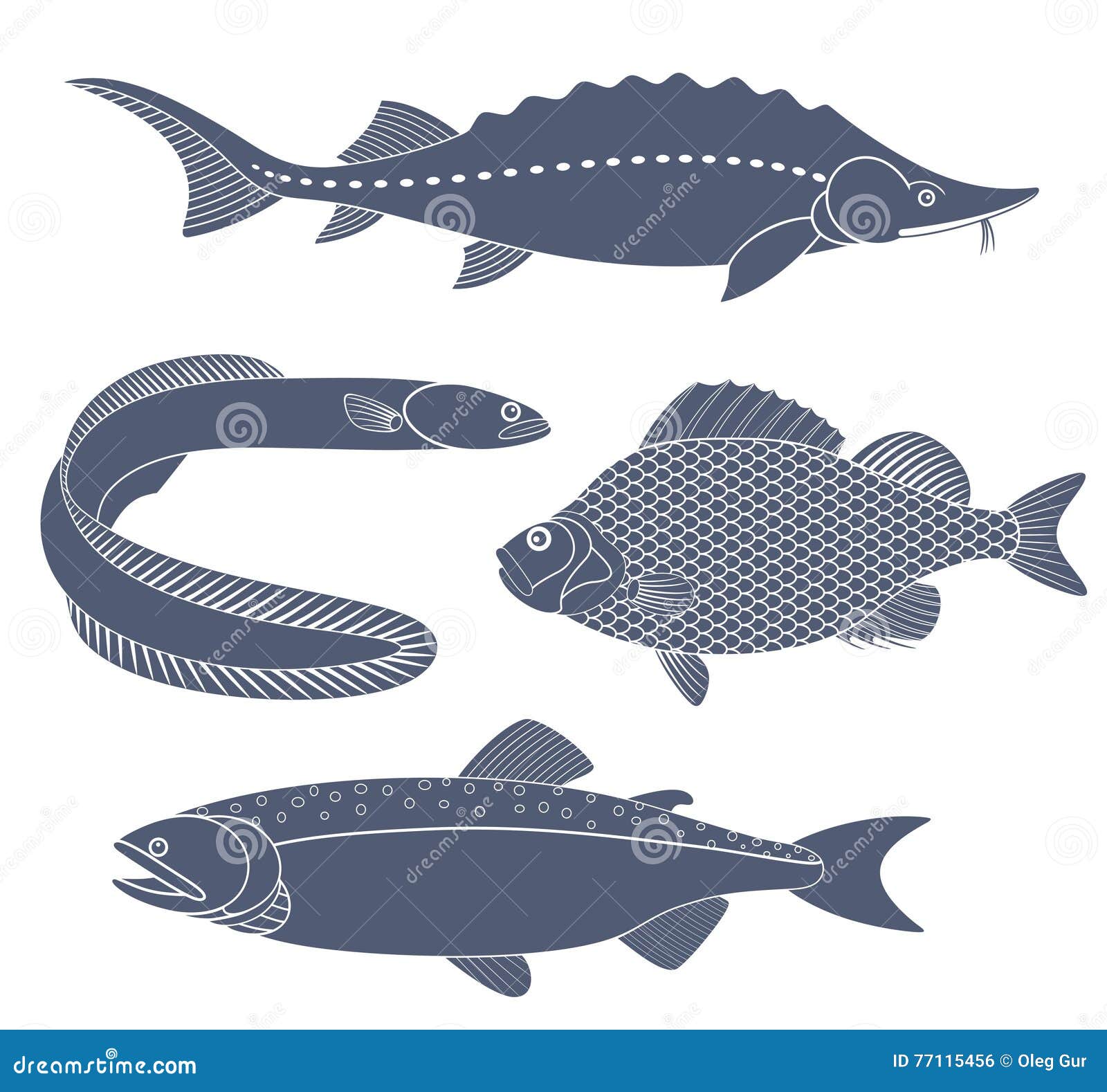 Abstract Freshwater Fish stock vector. Illustration of meat - 77115456
