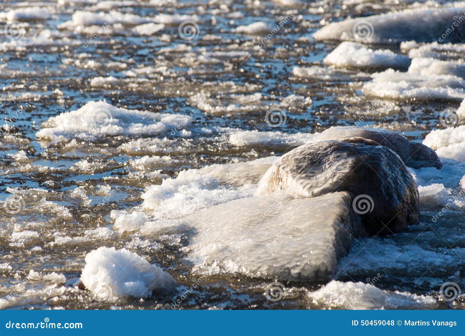 Abstract Frozen Ice Blocks in the Sea Stock Photo - Image of melting ...