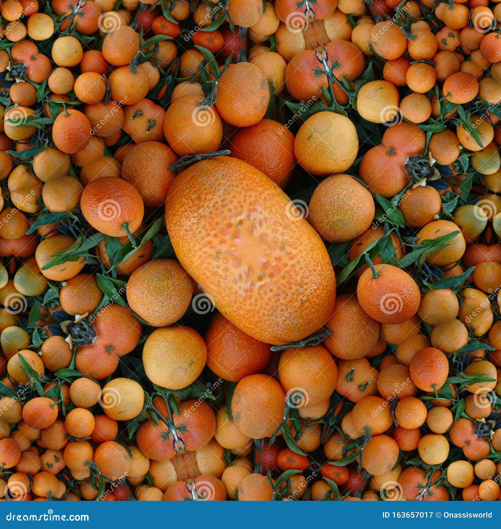 Abstract Colorful Fresh Fruit Art Stock Image - Image of colorful ...