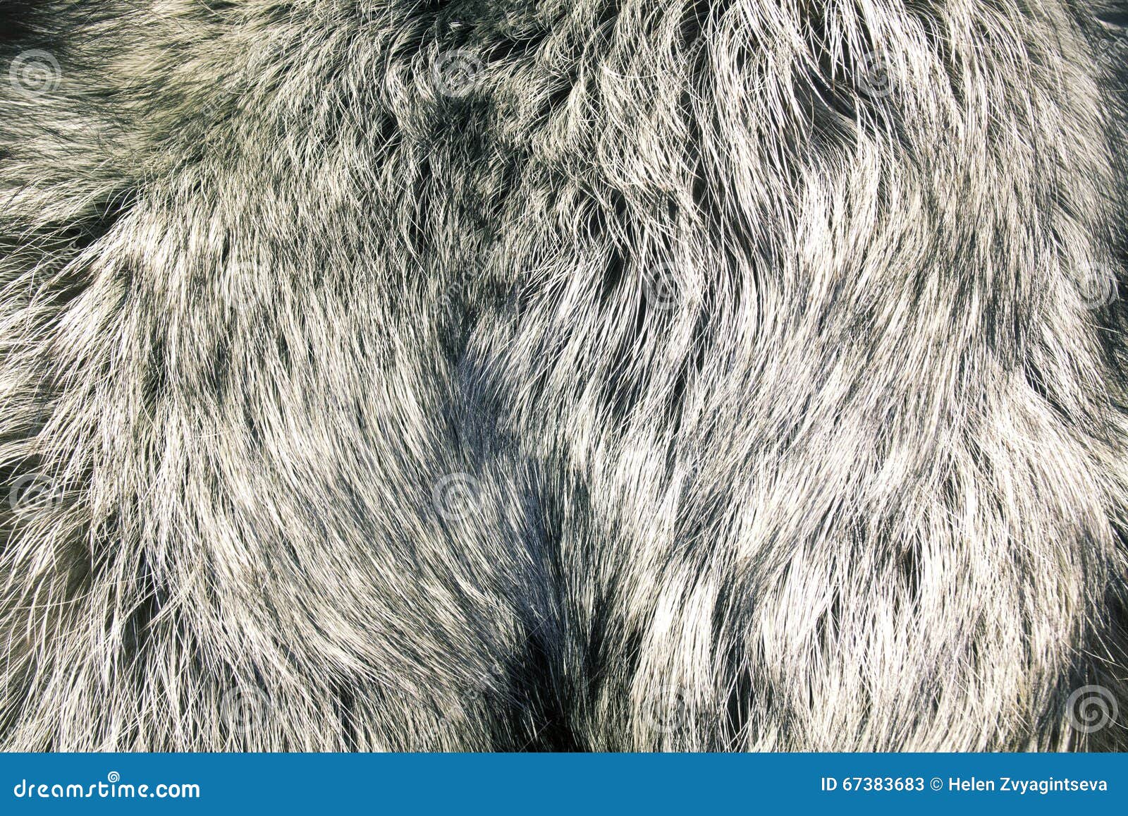 Abstract fur background stock image. Image of pattern - 67383683