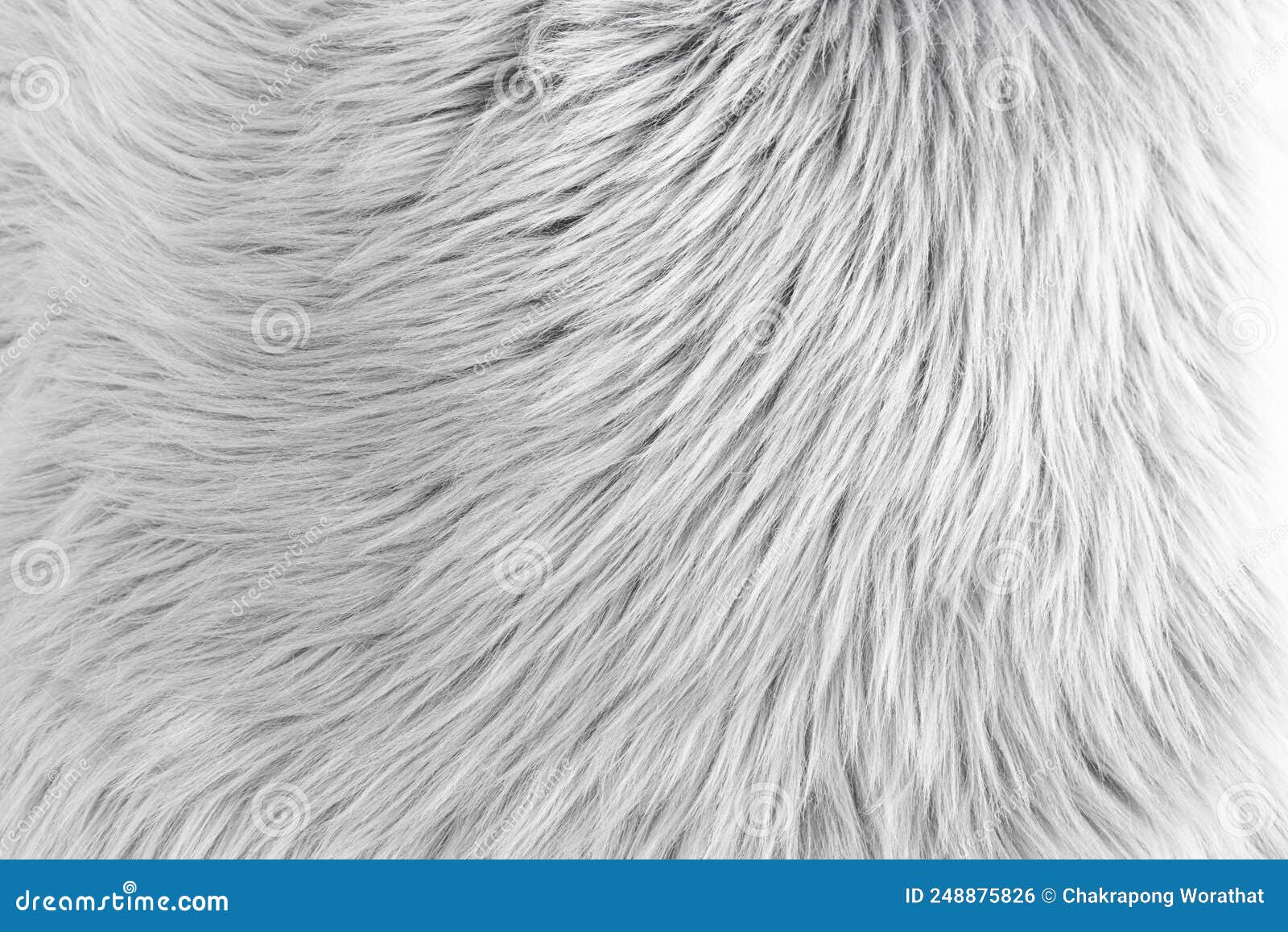 Abstract Fur Skin Pattern White Background Stock Photo - Image of ...