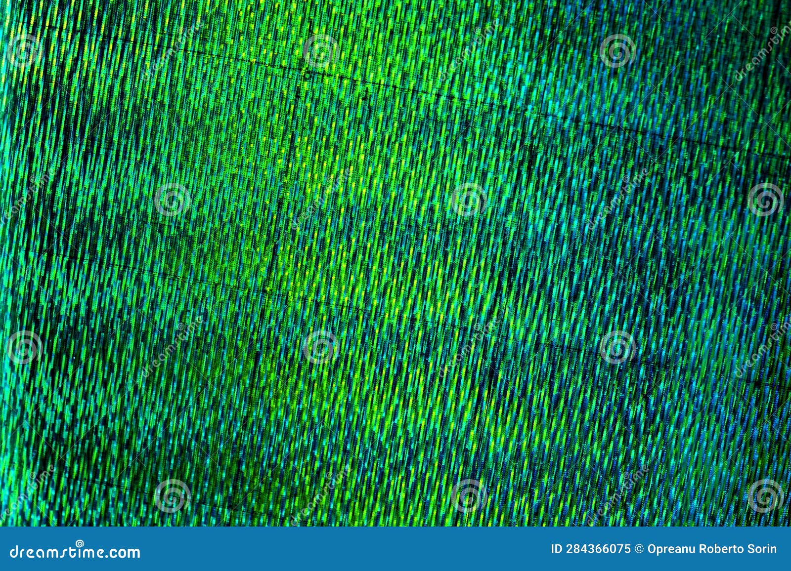 Abstract Geometric Lines with Distorted Green Grid and Green and Blue ...