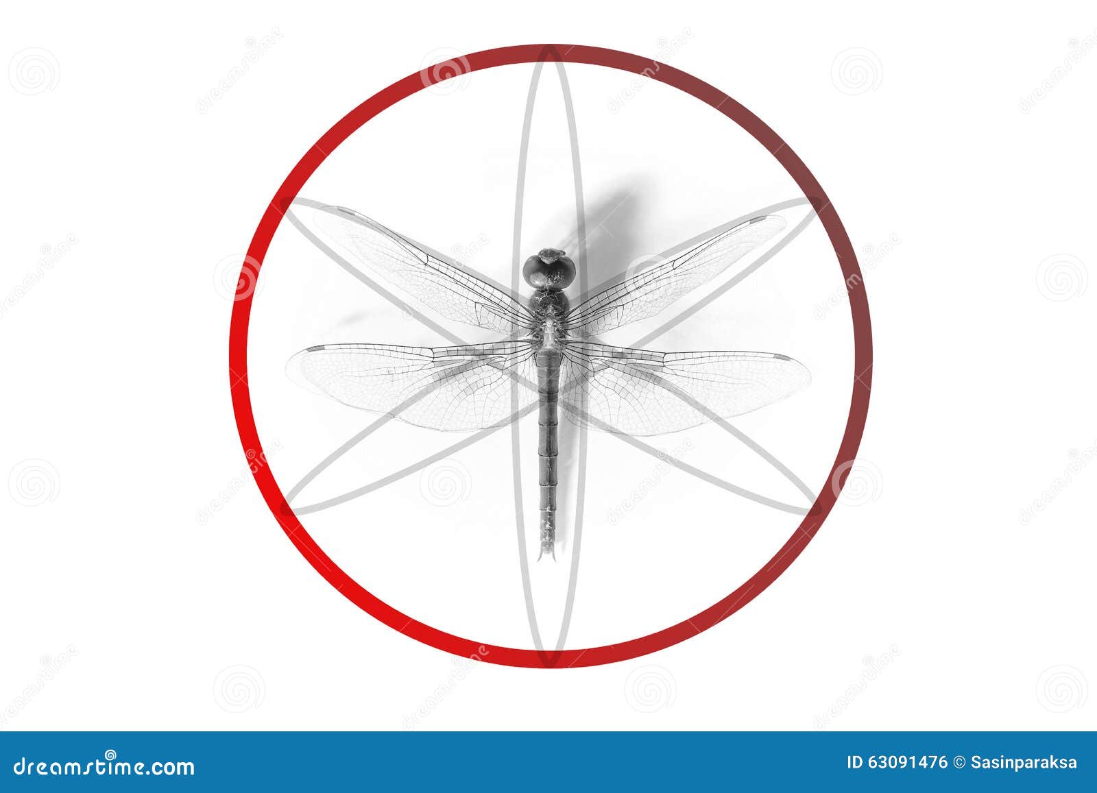 Abstract Geometric Made from Dragonfly Proportion Stock Illustration ...