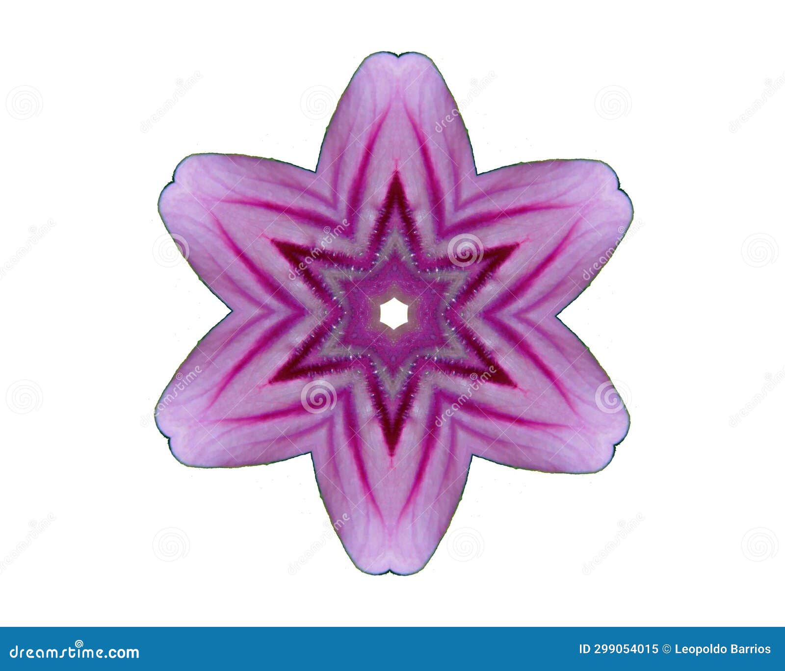 Blue Flower Circle Pattern for Background and Design Stock Illustration ...