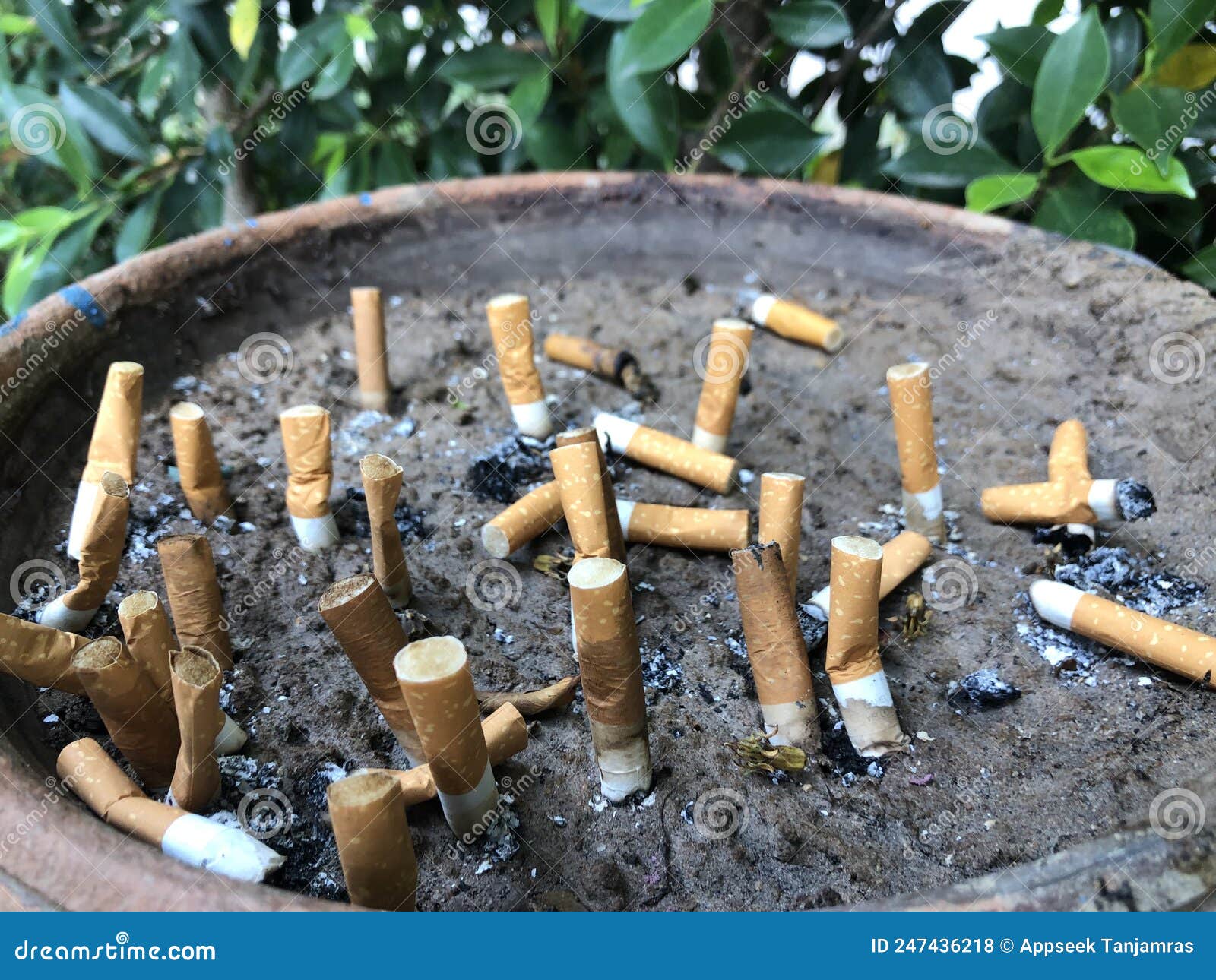 Abstract Geometric Pattern Purple Background Triangular Polygon ...