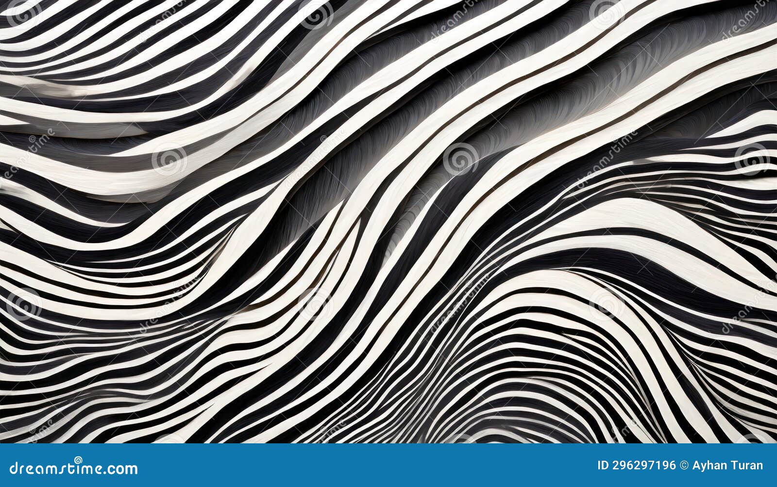 Abstract Geometric Shape , Black and White Zebra Texture Stock ...