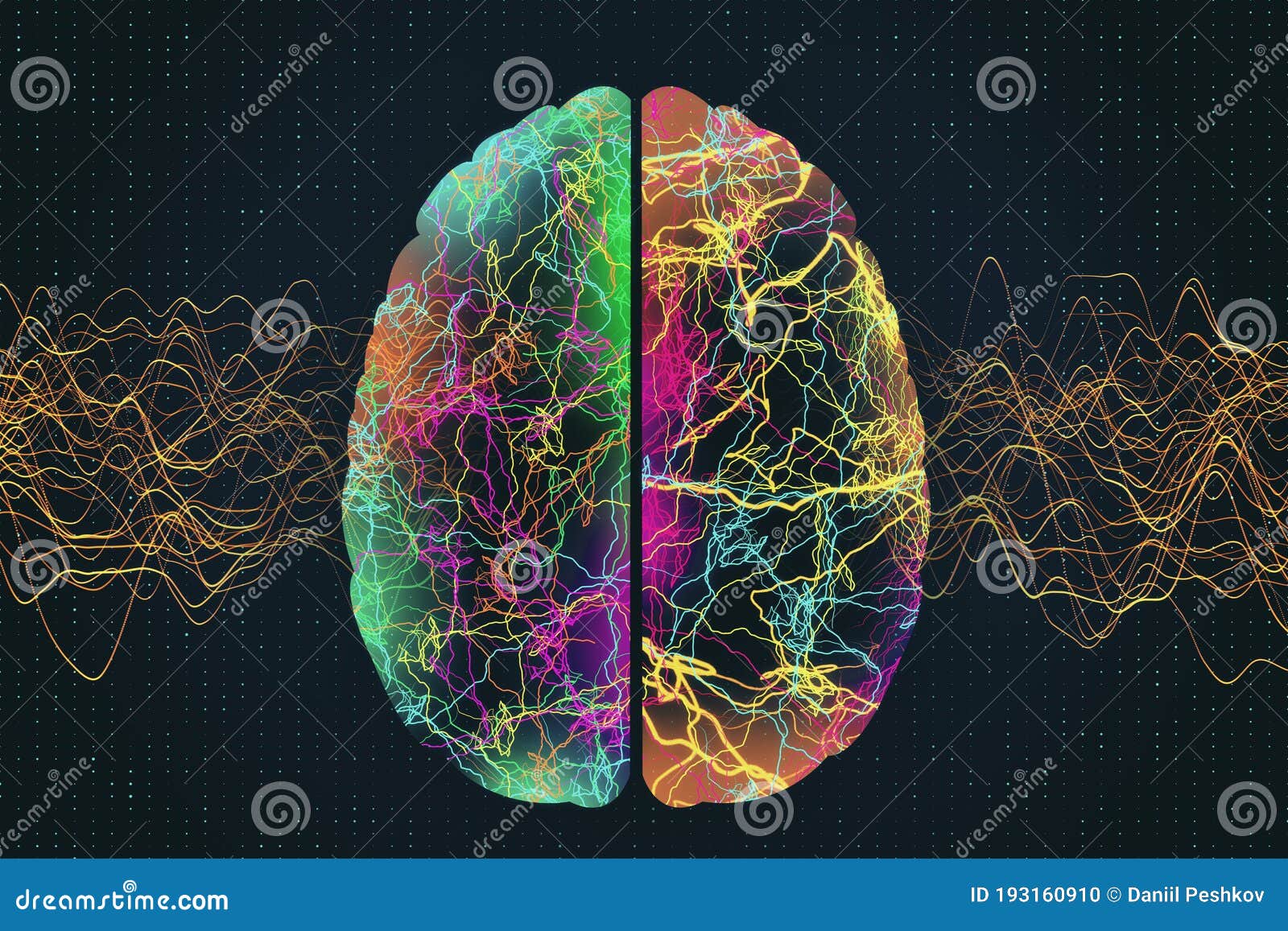 Polygonal Brain Function Infografic Cartoon Vector | CartoonDealer.com ...