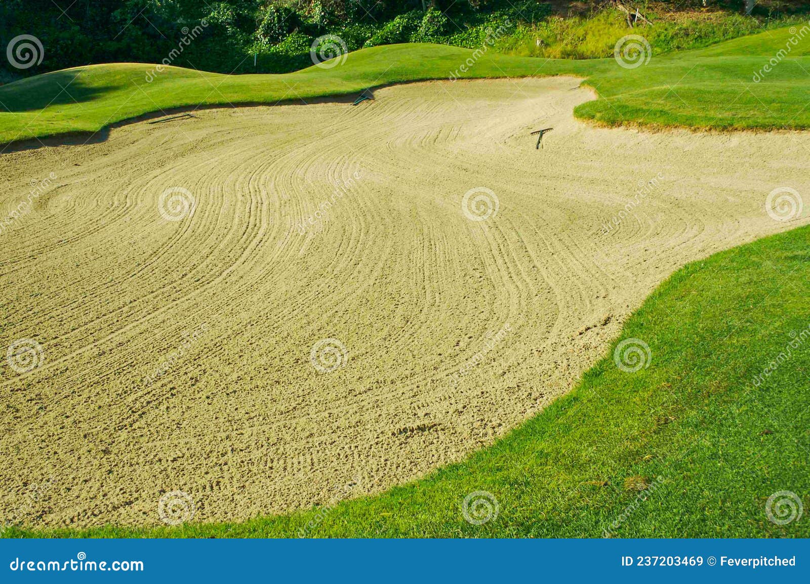 Abstract of Golf Course and Sand Bunker Stock Image - Image of lush ...