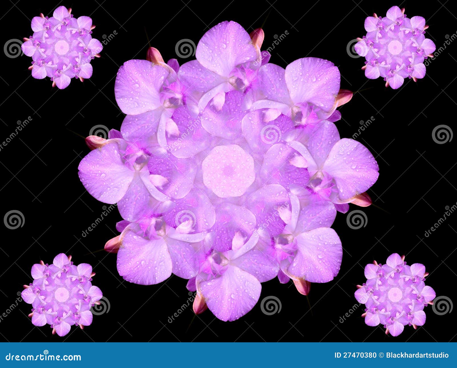 Abstract Graphic Design Orchid Flower Stock Photo - Image of beauty ...