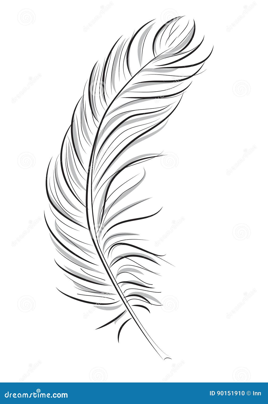 Abstract Graphic Feather Vector Illustration Stock Vector ...