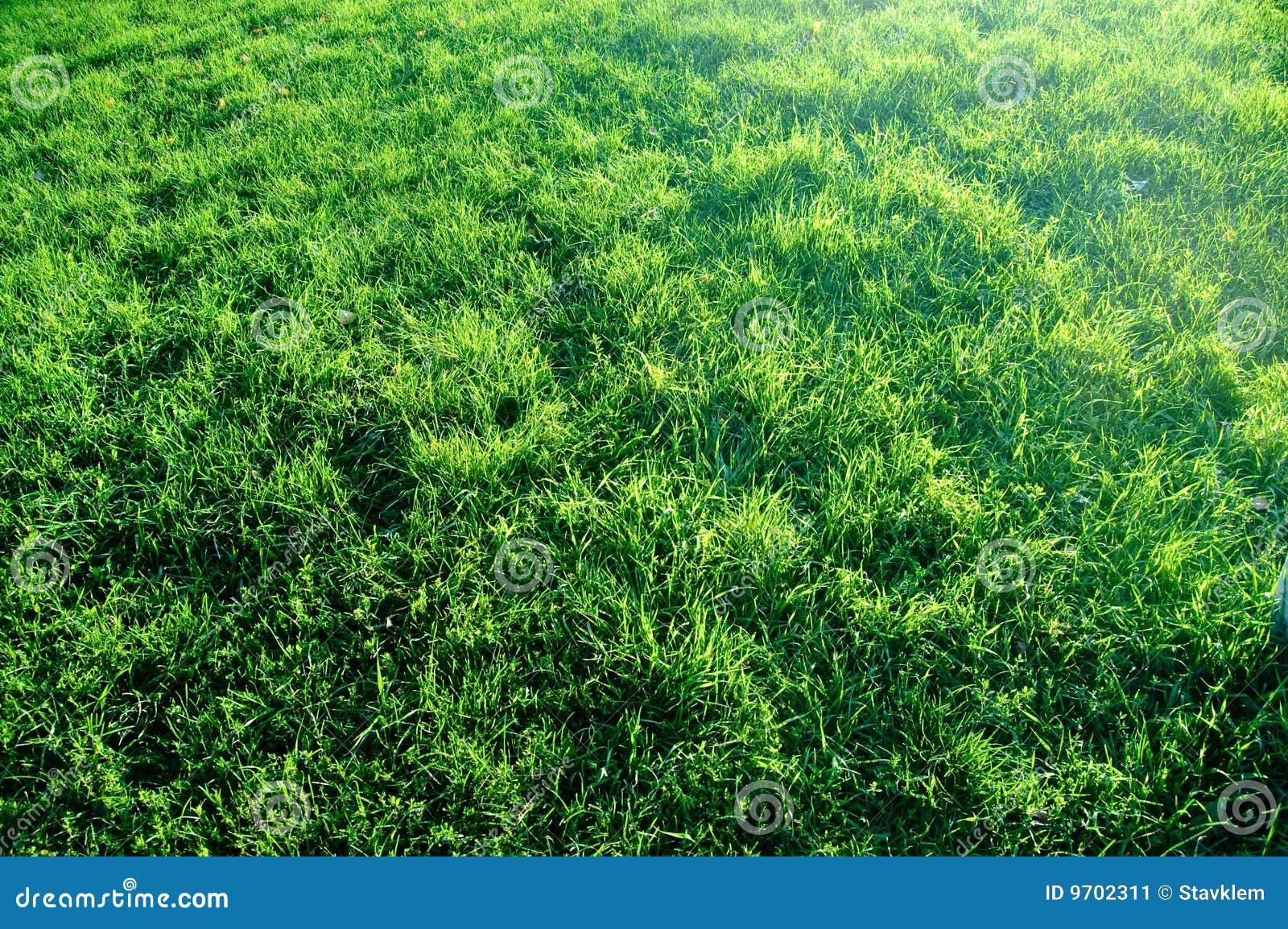 Abstract grass background stock image. Image of landscape - 9702311