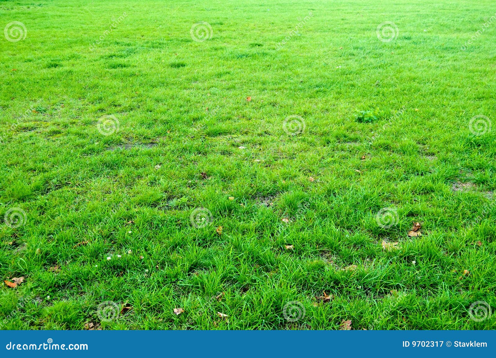 Abstract grass background stock image. Image of garden - 9702317