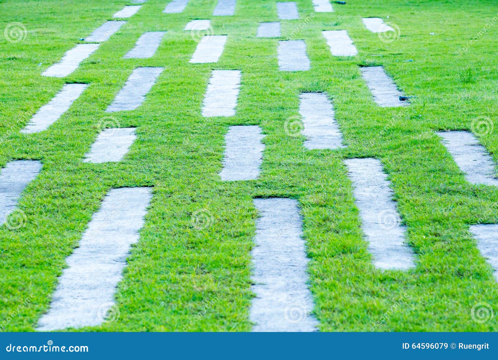 Abstract Grass Background with Concrete Pathway. Stock Image - Image of ...