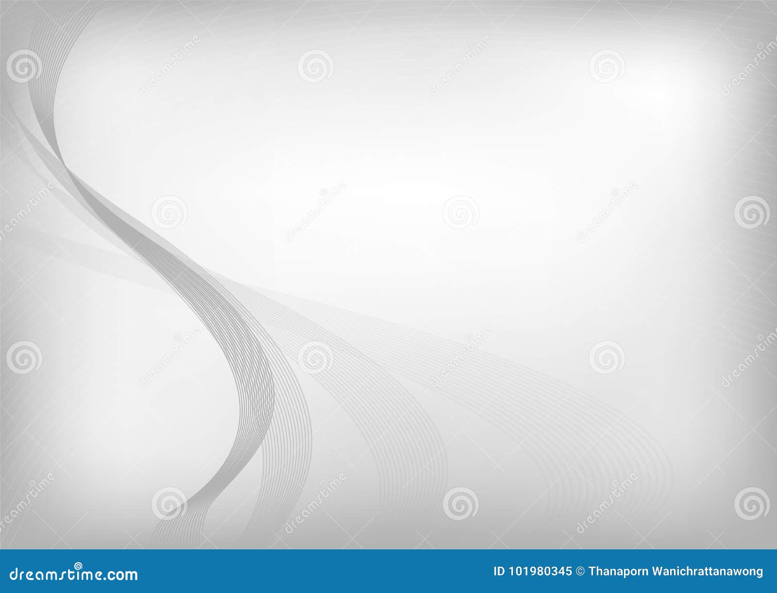 Abstract Gray Curve on White Background with Light Stock Vector ...