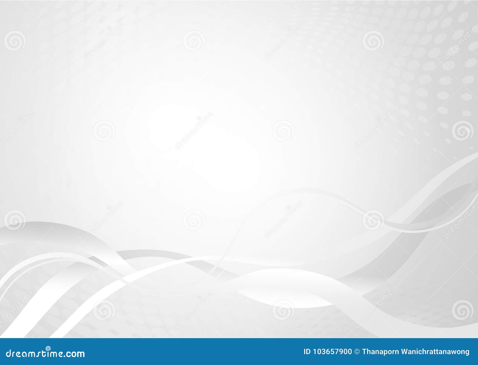 Abstract Gray Curve on White Background with Light Stock Vector ...