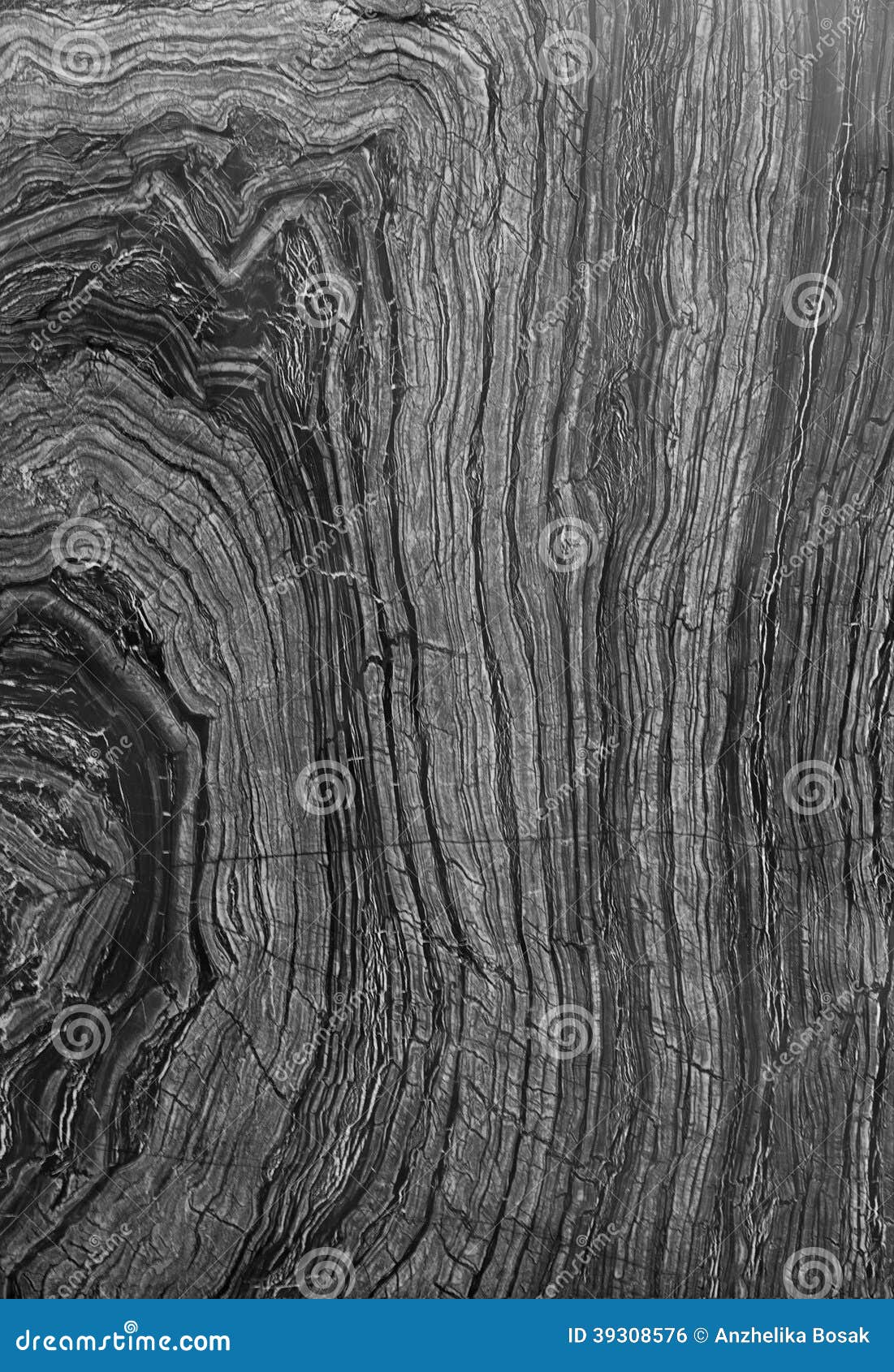 Abstract Gray Marbles As a Tree Bark Stock Photo - Image of dark ...