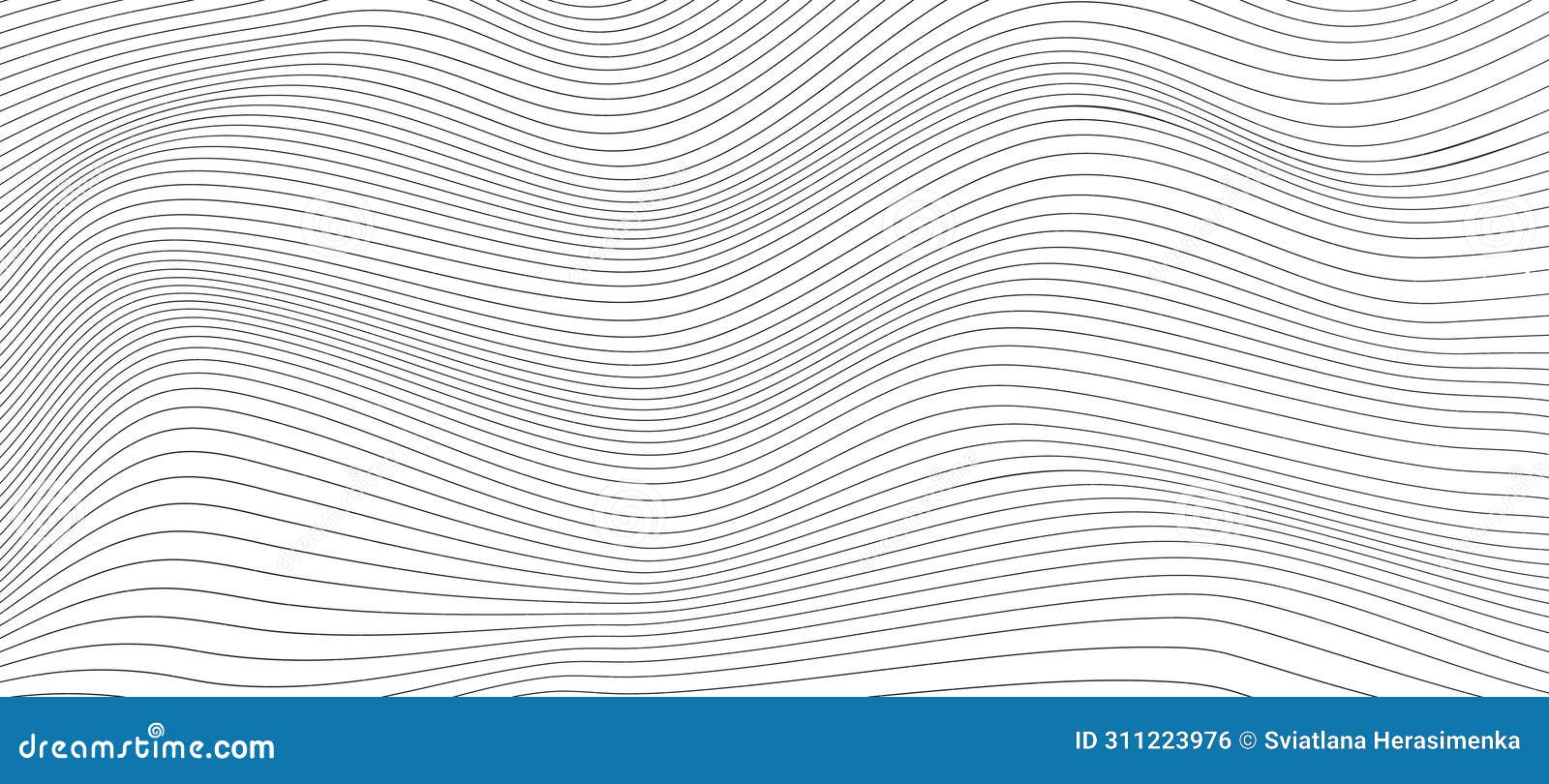 Abstract Gray Wavy Lines. Texture Background Template Vector ...
