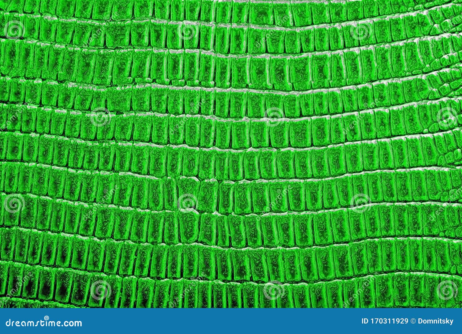 Green Alligator Skin Texture For Background Royalty-Free Stock ...
