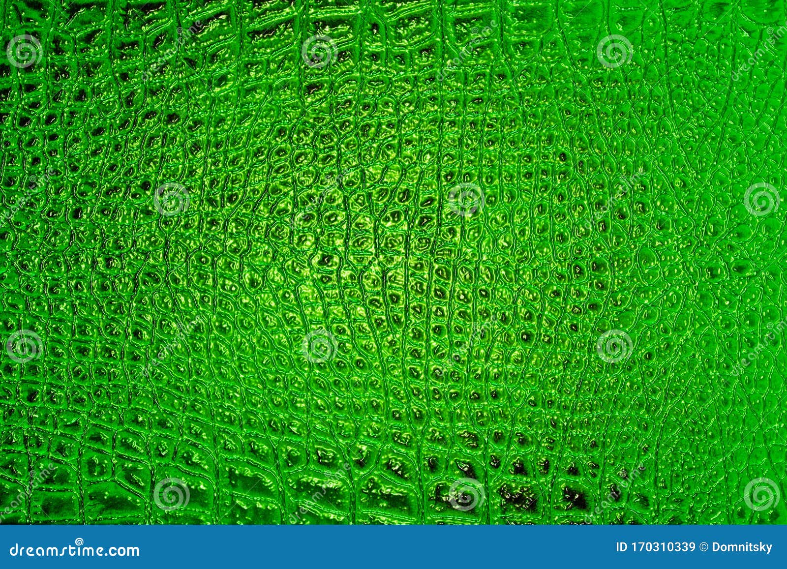 Abstract Green Alligator Patterned Background Stock Image - Image of ...