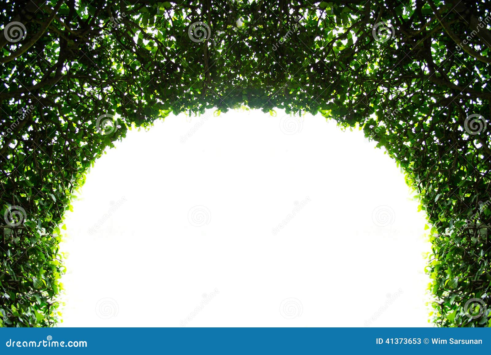 Abstract Green Arch Royalty-Free Stock Photography | CartoonDealer.com ...