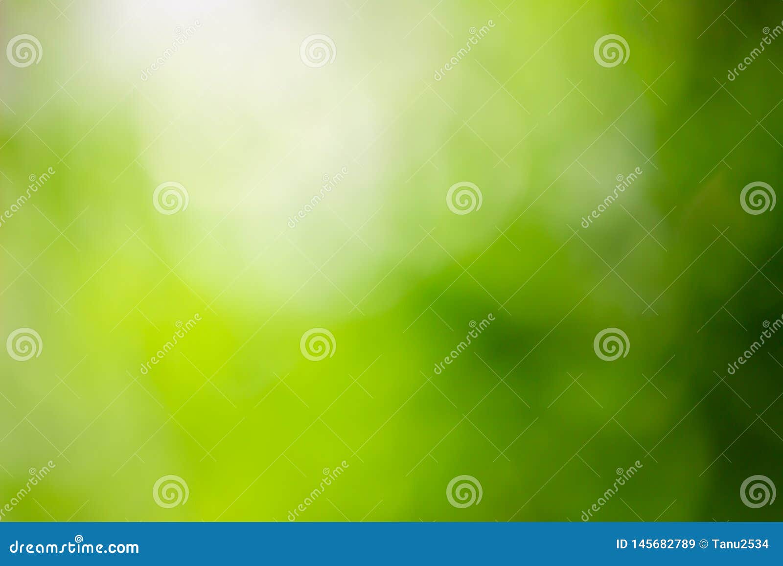 Abstract Green Color Sunny Leaf Royalty-Free Stock Photography ...