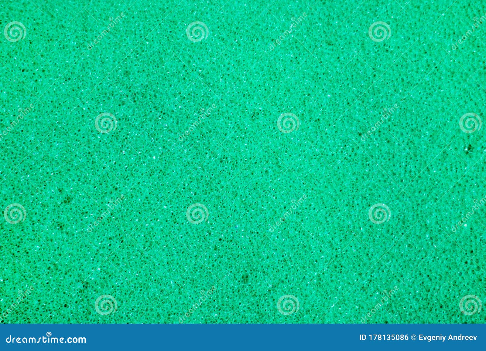 Abstract Green Background. Porous Surface, Sponge Stock Photo - Image ...