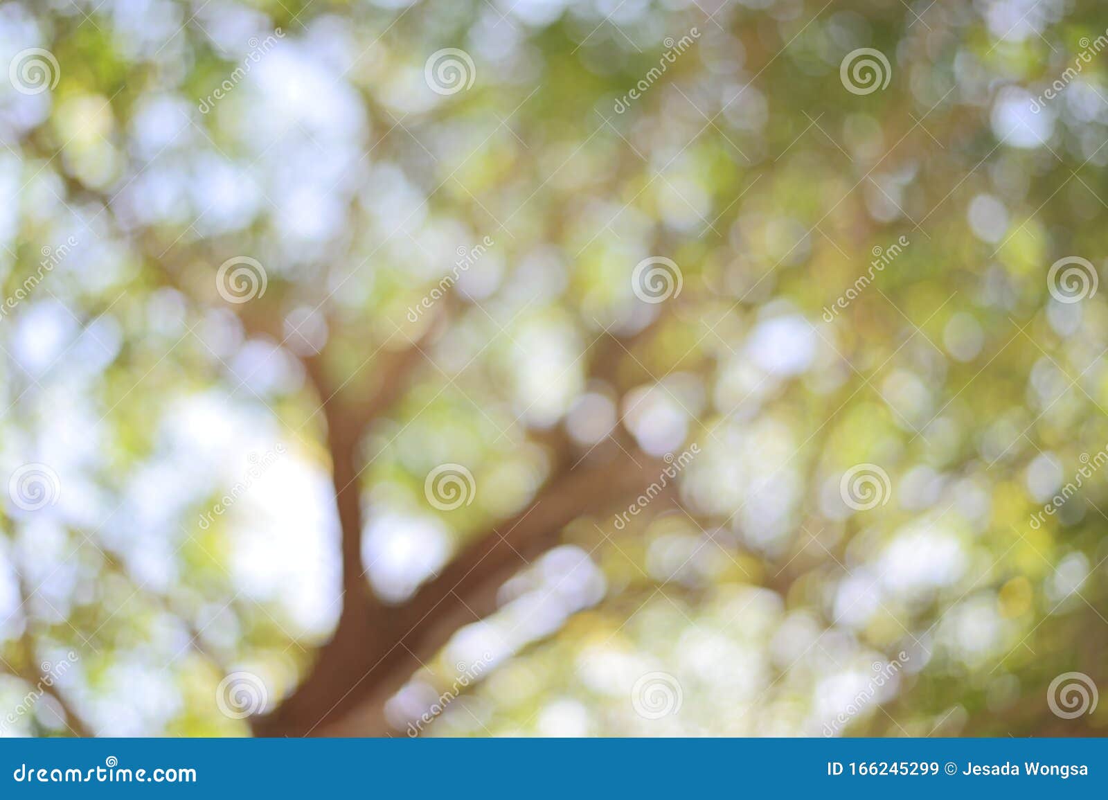Abstract Green Blurred Abstract Background from Foliage Under Tree ...